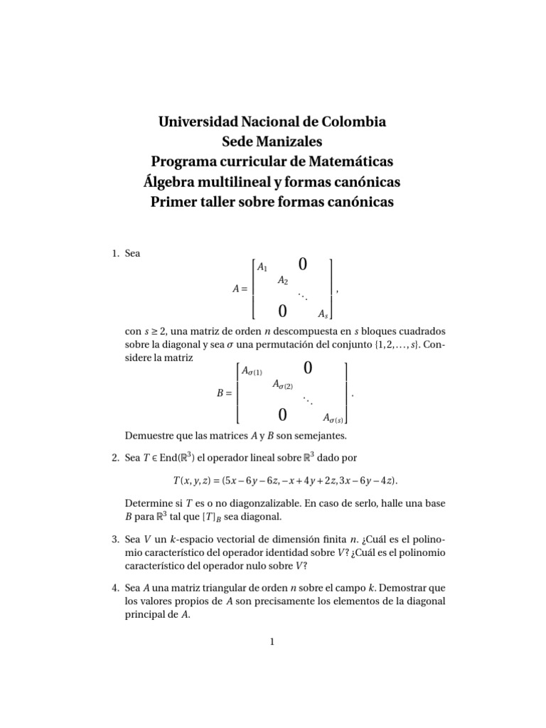 Taller1 Multilineal | PDF | Mapa lineal | Matriz (Matemáticas)