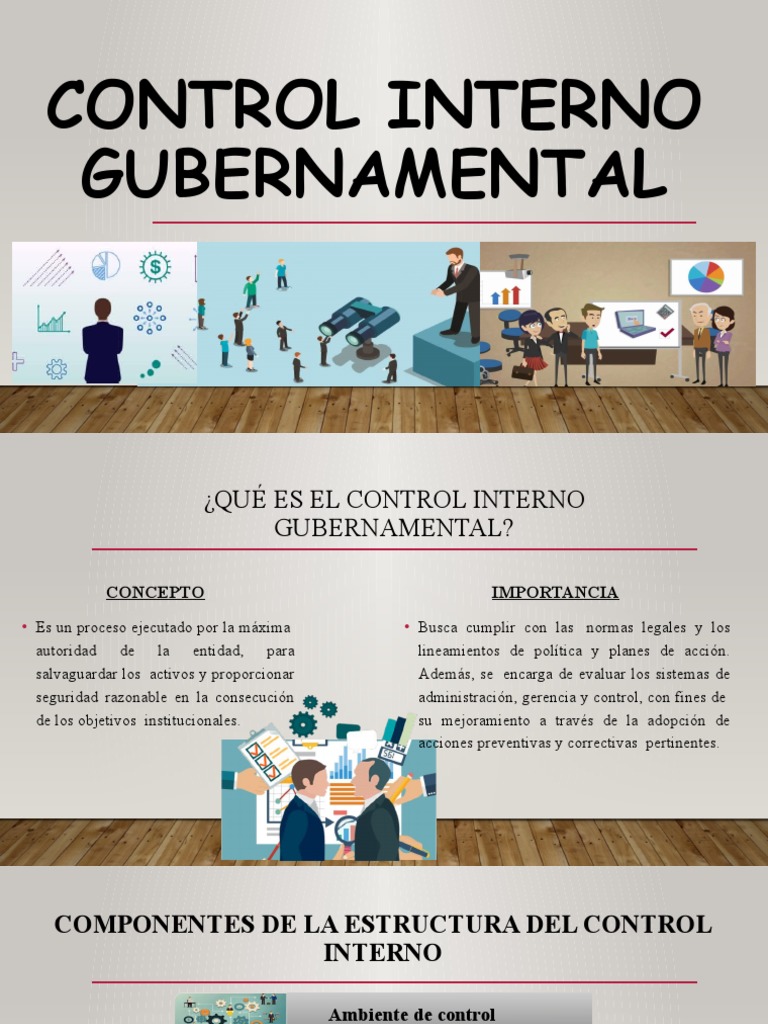 Control Interno Gubernamental - ANYIE ABREGO | PDF