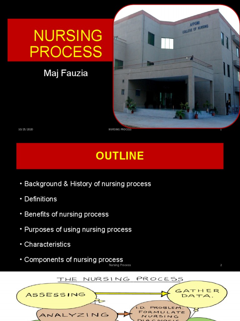 Overview of the Nursing Process | PDF | Nursing | Health Care