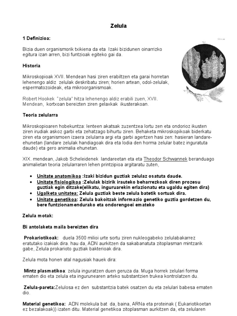 Zelula Eta Zelularen Funtzioak Oinarrizko Kontzeptuak | PDF