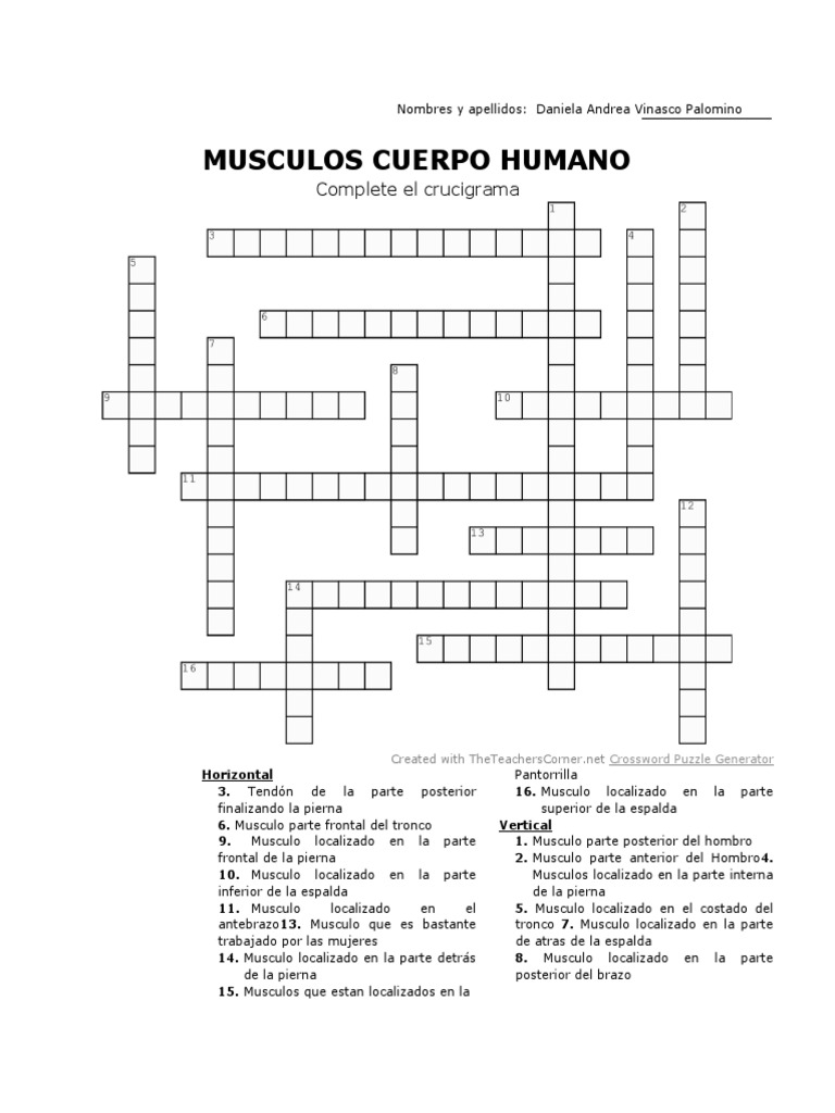 Crucigrama Musculos Cuerpo Humano | PDF