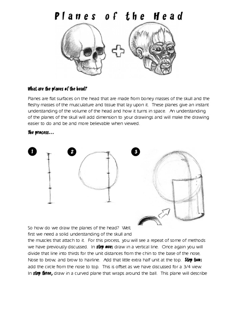 Planes of the Skull | Human Head And Neck | Face