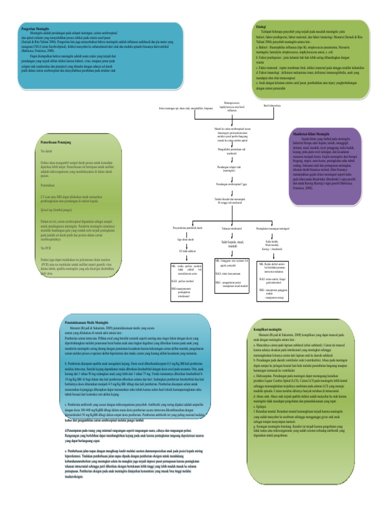 Mapping Meningitis | PDF