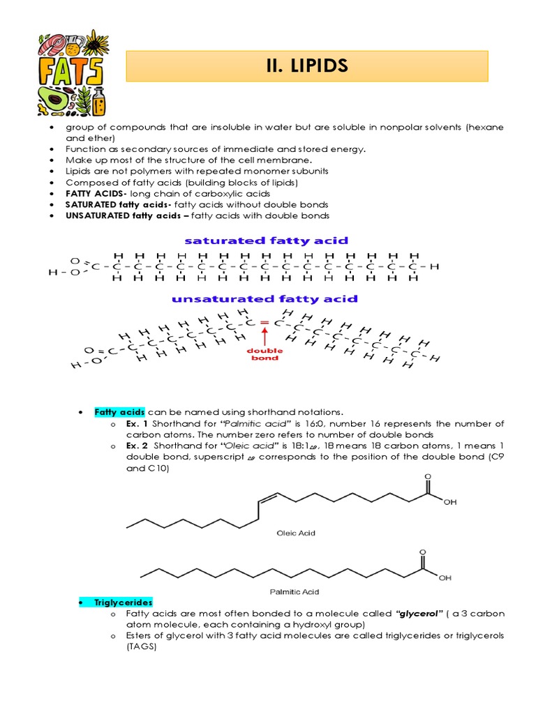 Lipids | PDF