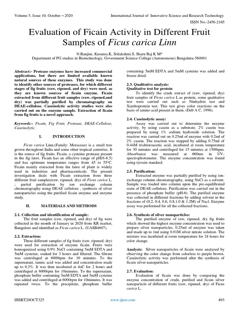 Evaluation of Ficain Activity in Different Fruit Samples of Ficus ...