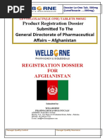 ACTD Format Part I | PDF | Pharmaceutical Drug | Shelf Life