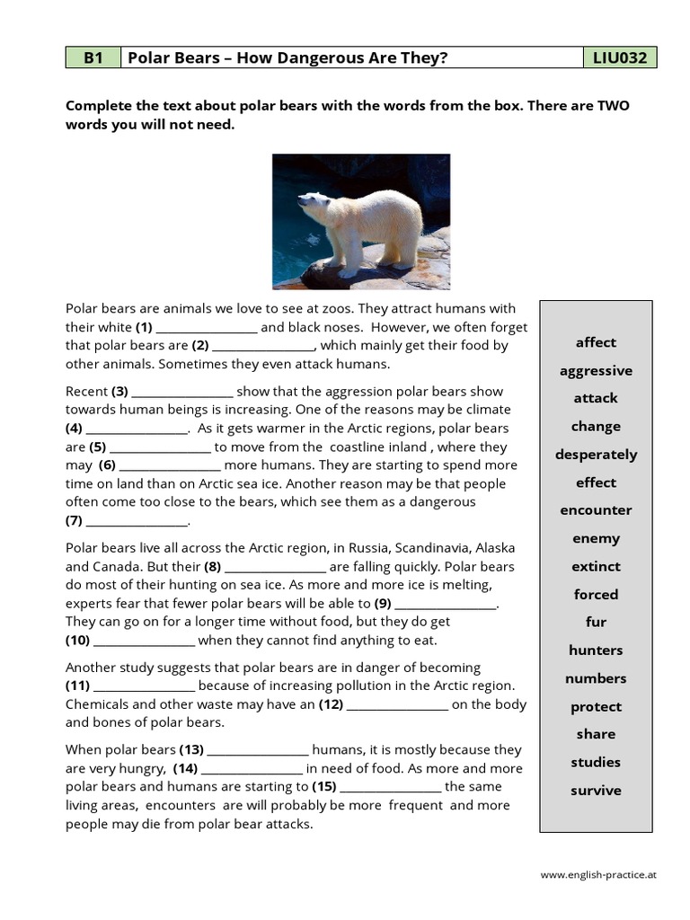 Liu032 Polar Bears PDF | PDF | Polar Bear | Bears
