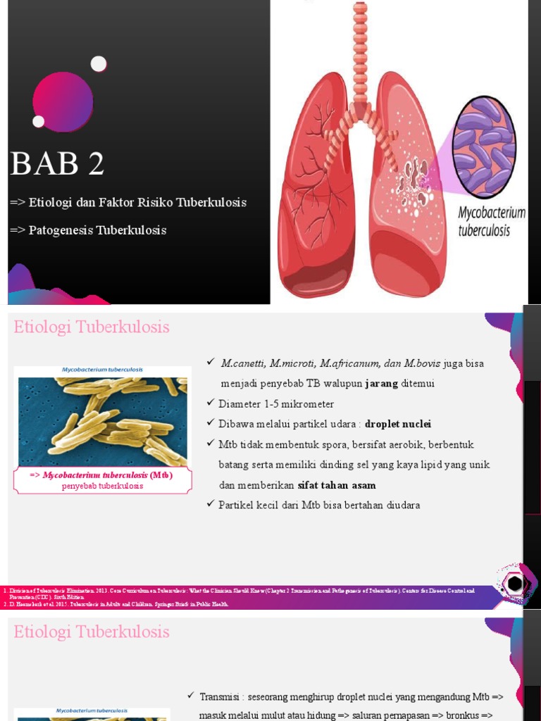 Etiologi Dan Faktor Risiko Tuberkulosis Patogenesis Tuberkulosis | PDF ...