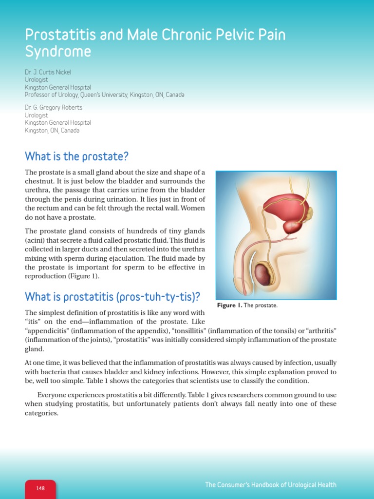 Understanding Prostatitis and Pain Relief | PDF | Prostate | Urinary ...