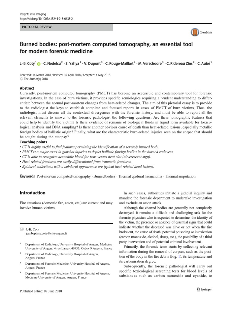 Burned Bodies Post Mortem Computed Tomography Pdf Pdf Autopsy Ct Scan