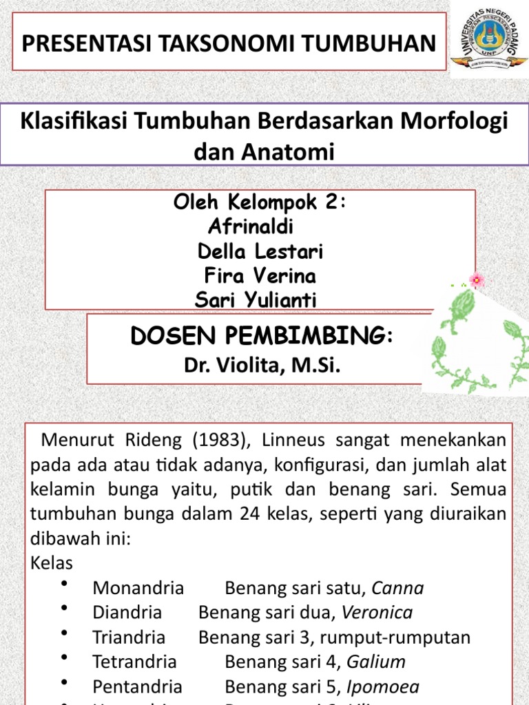 Klasiifikasi Tumbuhan Berdasarkan Morfologi Dan Anatomi | PDF | Griya & Taman | Kesehatan Holistik