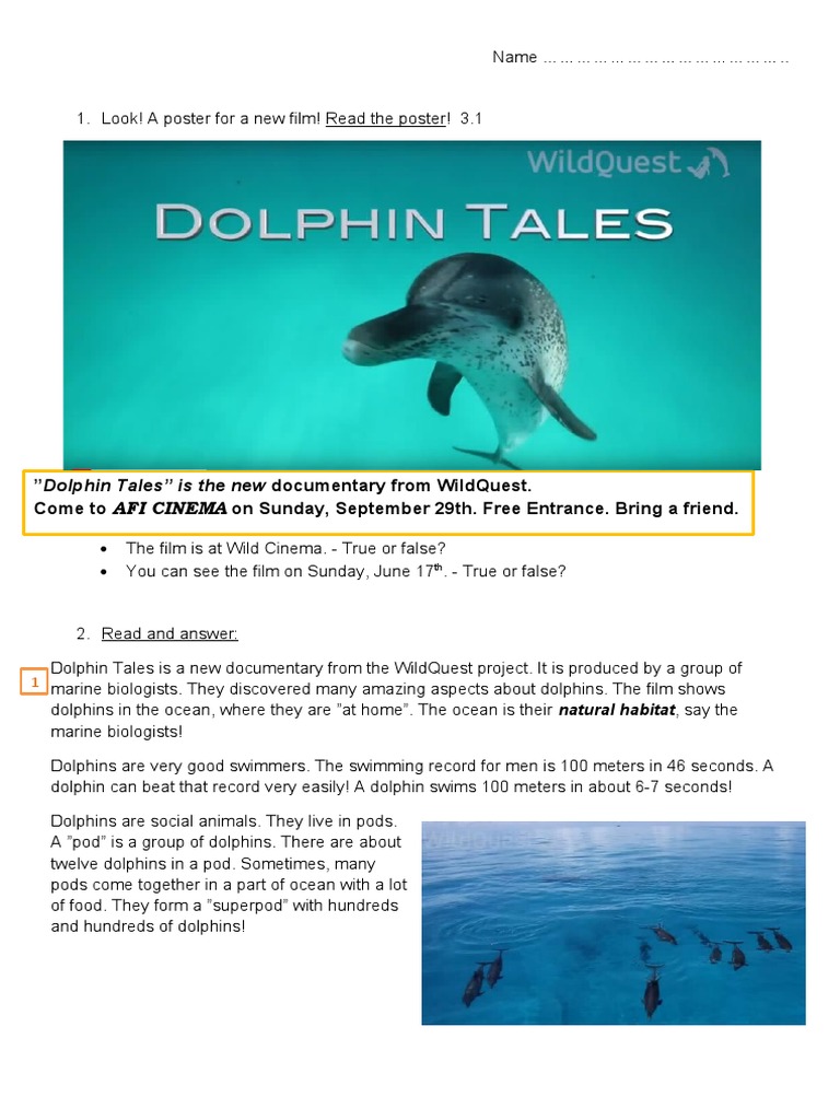 Dolphin Documentary Insights | PDF | Dolphin