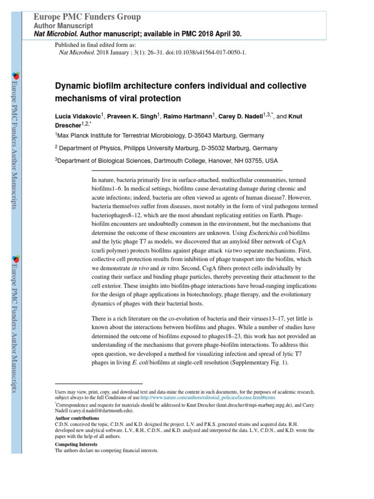 Biofilm Protection Mechanisms Against Phages | PDF | Bacteriophage ...