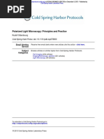 Invisible Terrestrial Entities | PDF | Lens (Optics) | Telescope