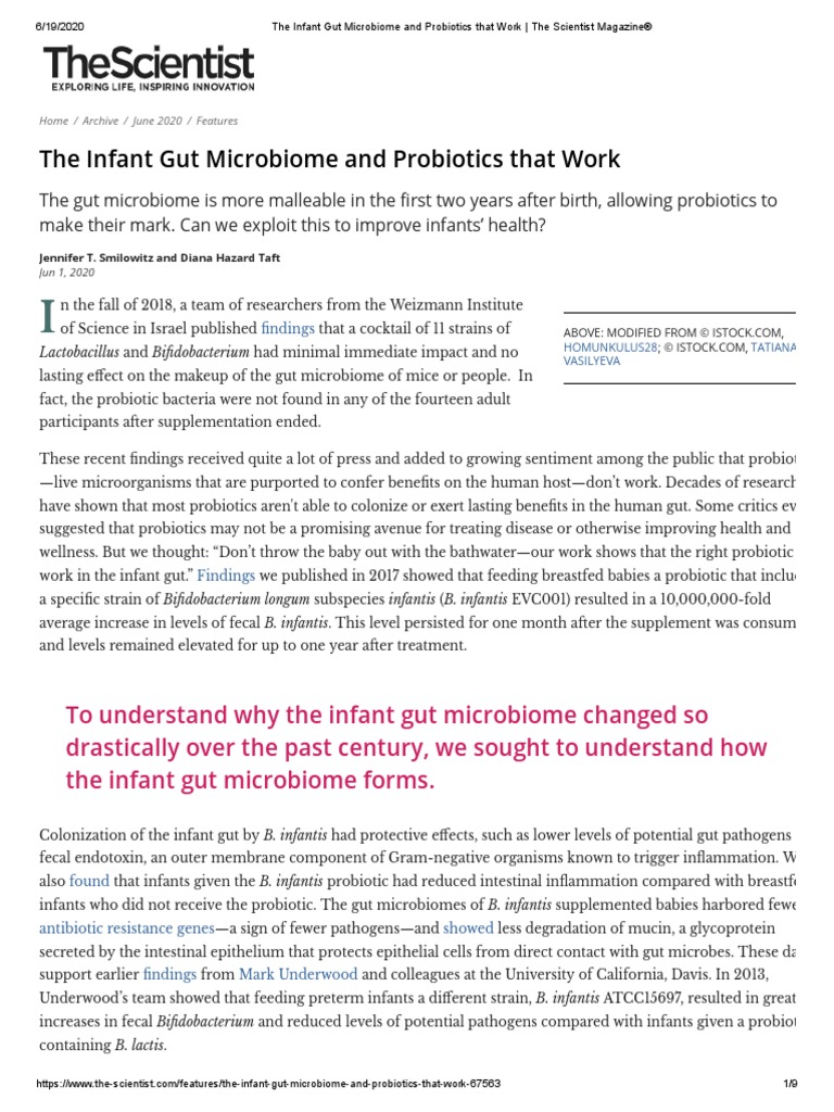 The Infant Gut Microbiome and Probiotics That Work - The Scientist ...