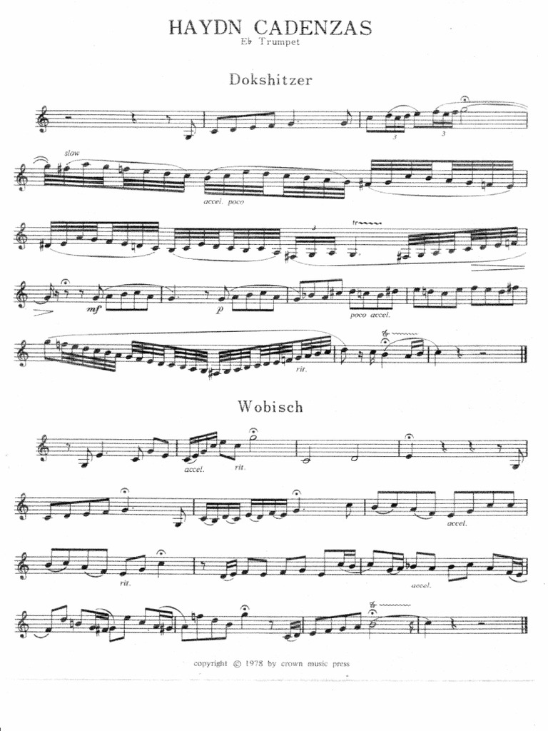 Haydn Cadenza PDF | PDF
