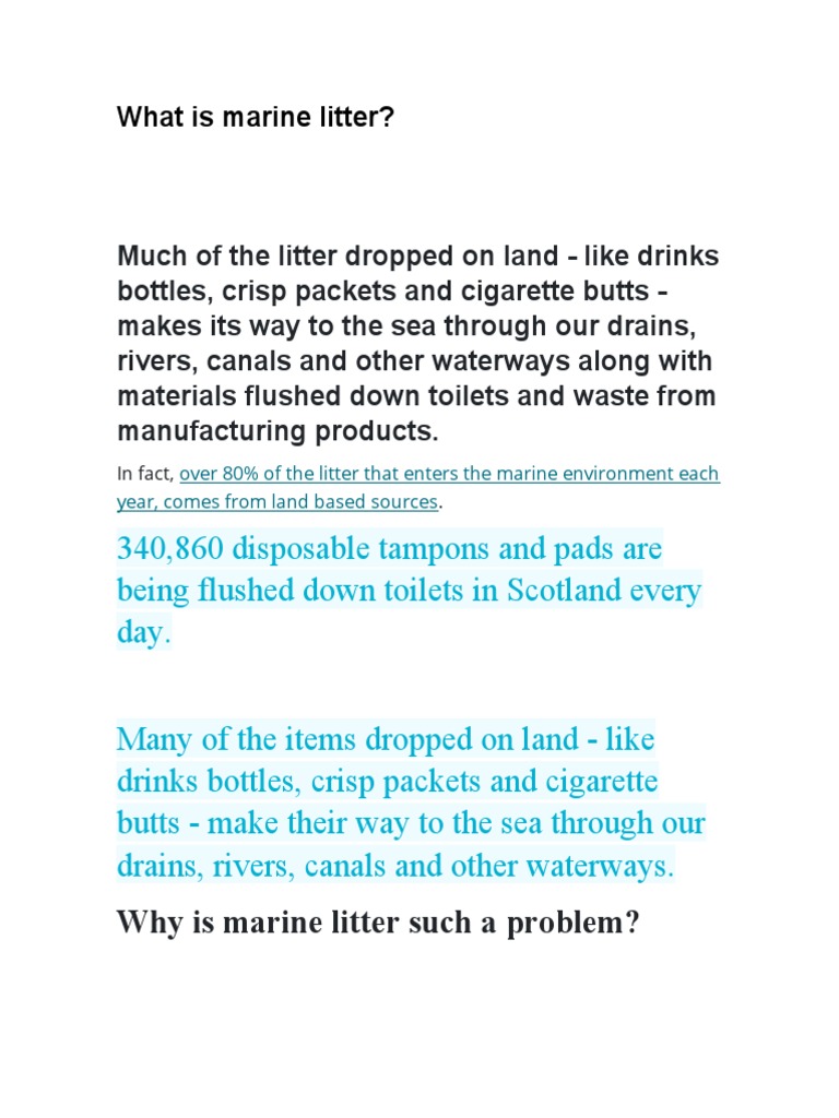 What Is Marine Litter | PDF | Economy And The Environment | Natural ...