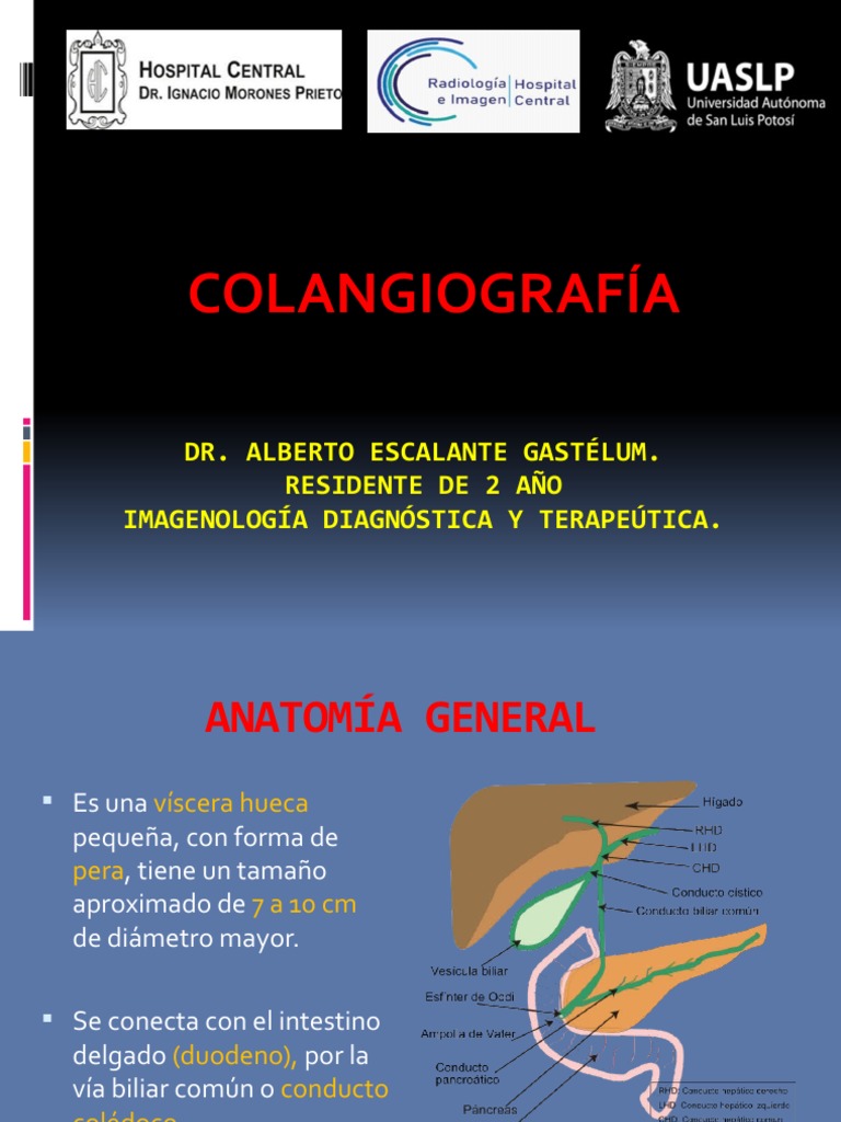 COLANGIOGRAFIA | PDF | Hígado | Sistema digestivo