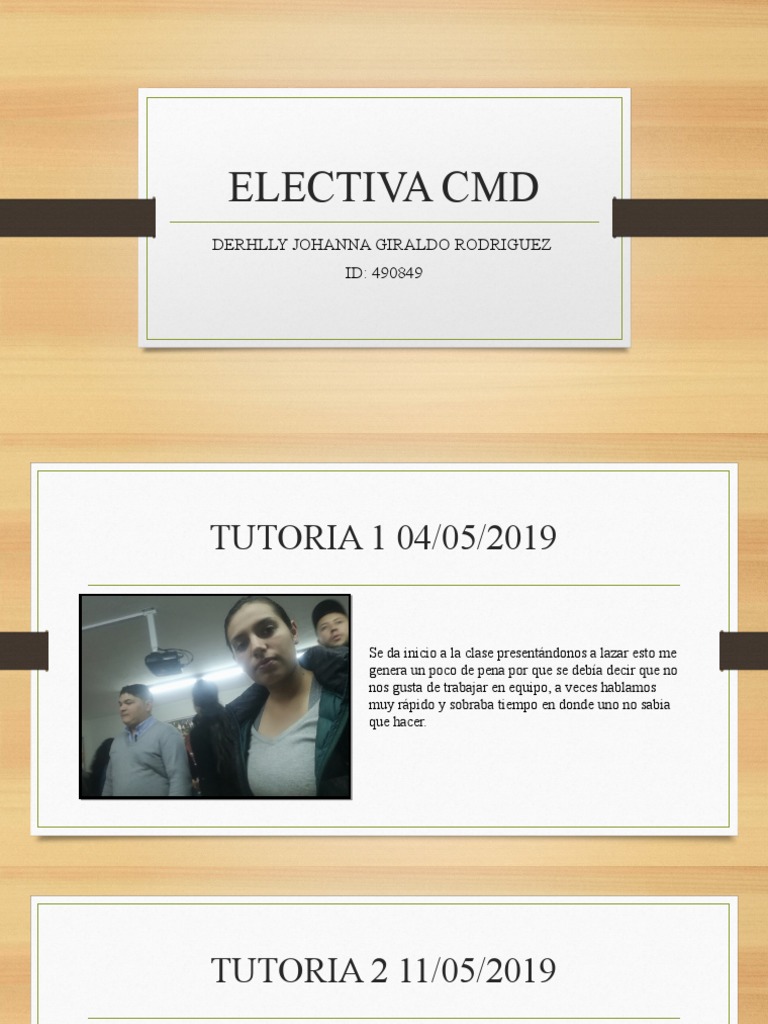 ELECTIVA CMD Trabajo Final | PDF