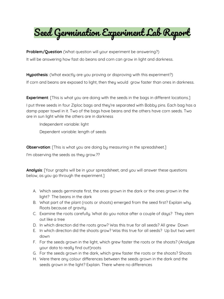 Seed Germination Experiment Lab Report | PDF | Science & Mathematics