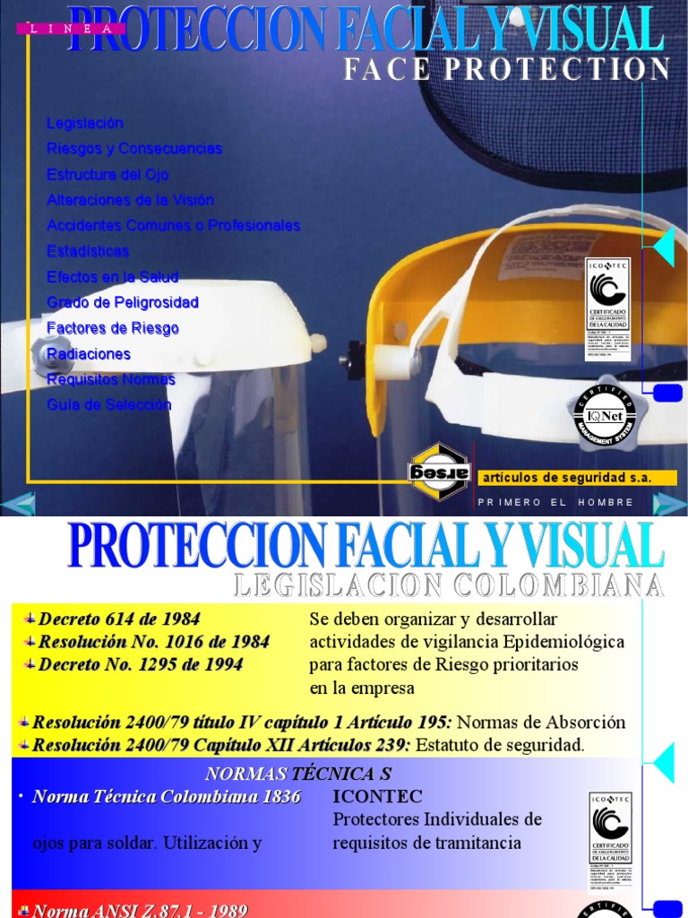 Protección Visual y Facial 1 | PDF | Ojo humano | Oftalmología