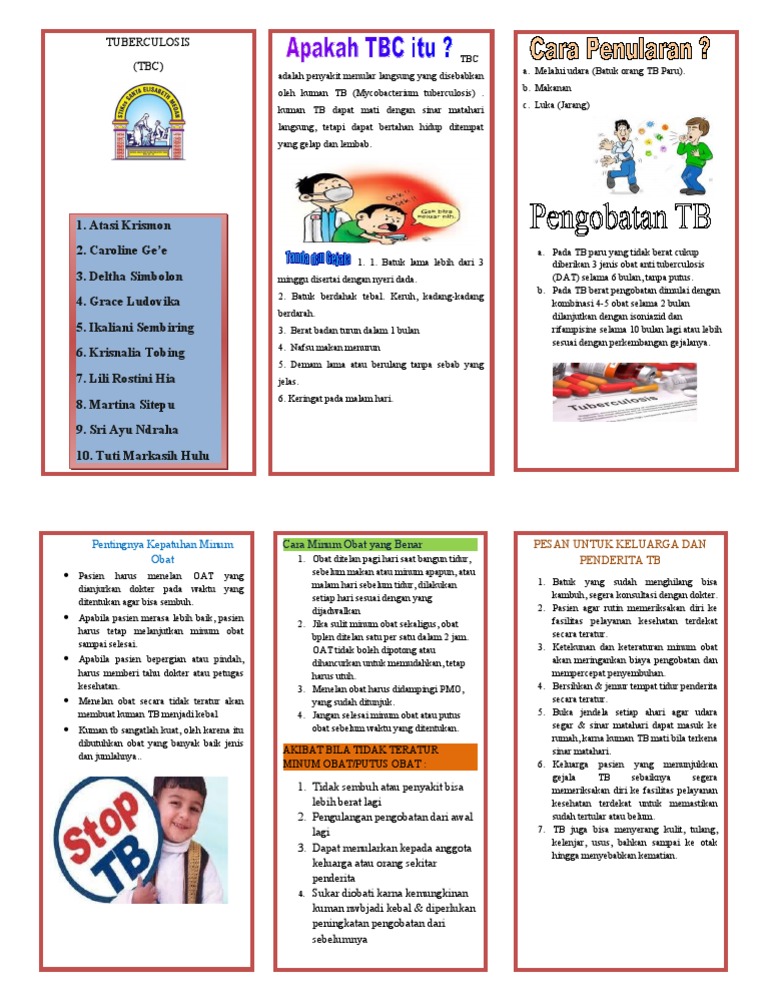 Leaflet Kepatuhan Minum Obat TBC | PDF