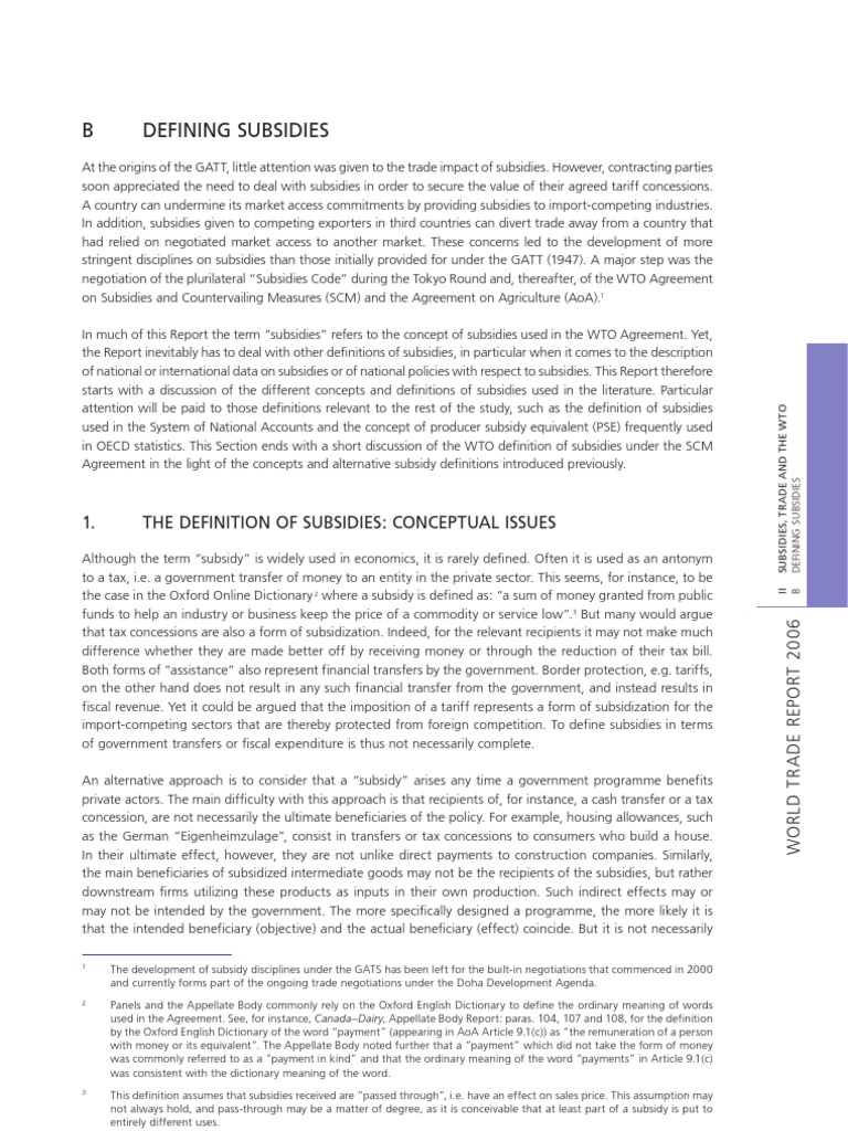 Defining Subsidies | PDF | Subsidy | Microfinance