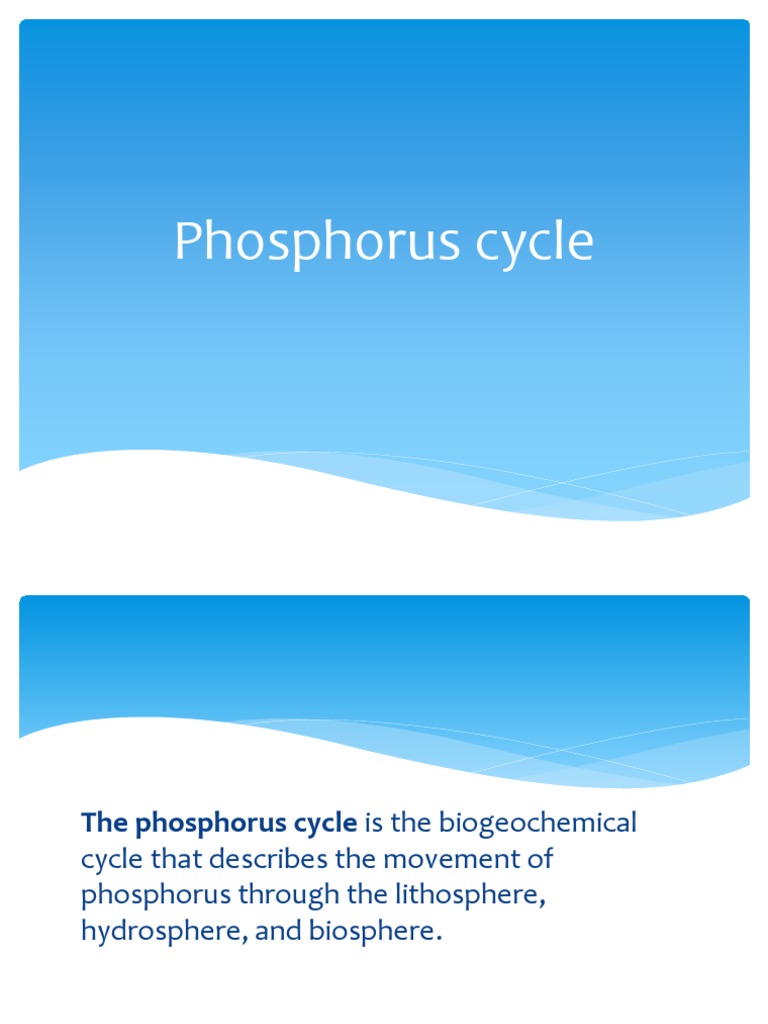 Phosphorus Cycle Overview and Steps | PDF | Science & Mathematics
