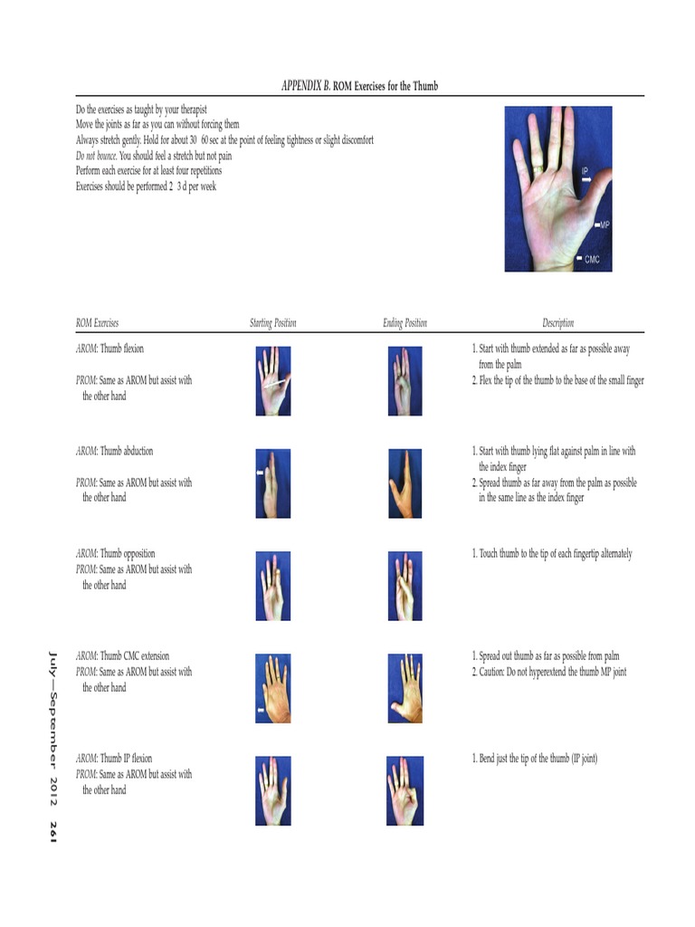 APPENDIX B. ROM Exercises For The Thumb | PDF | Thumb | Hand