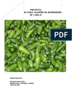 Proyecto de Locote en Paraguay | PDF | Pimiento | Economias