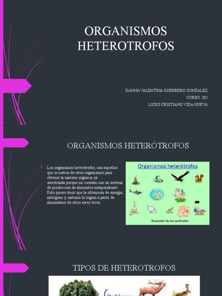 Organismos Heterotrofos | PDF