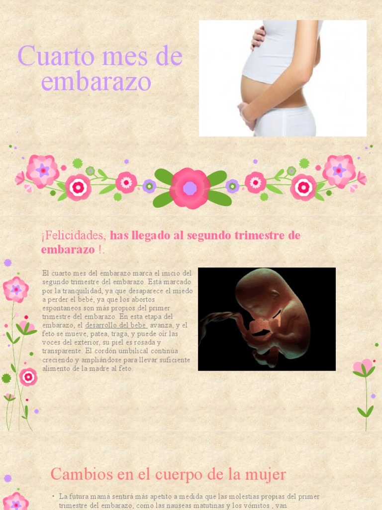 Cuarto Mes de Embarazo | PDF | El embarazo | Reproducción humana