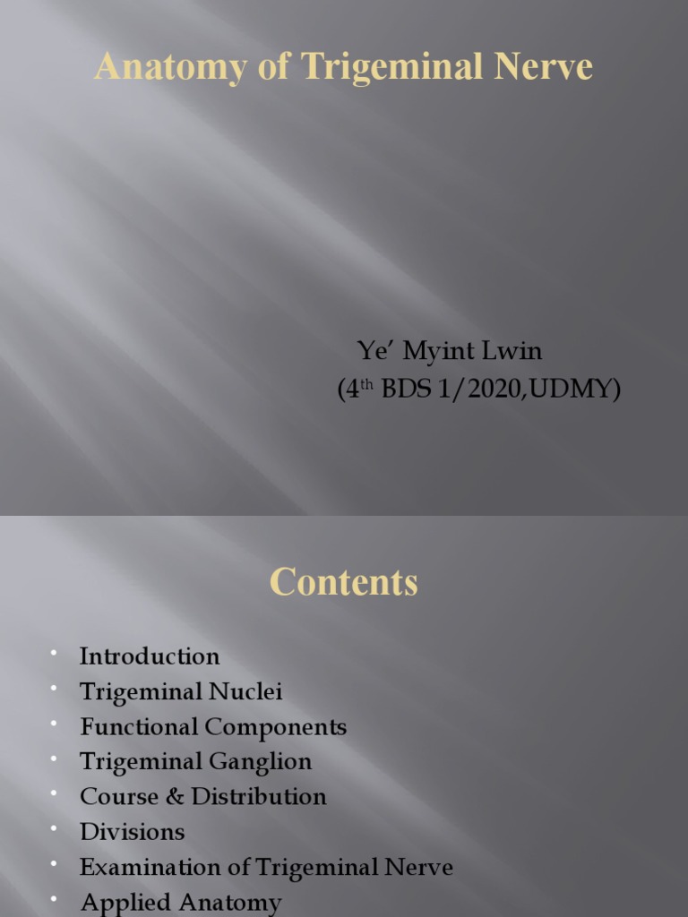 Anatomy of Trigeminal Nerve | PDF | Human Head And Neck | Animal Anatomy