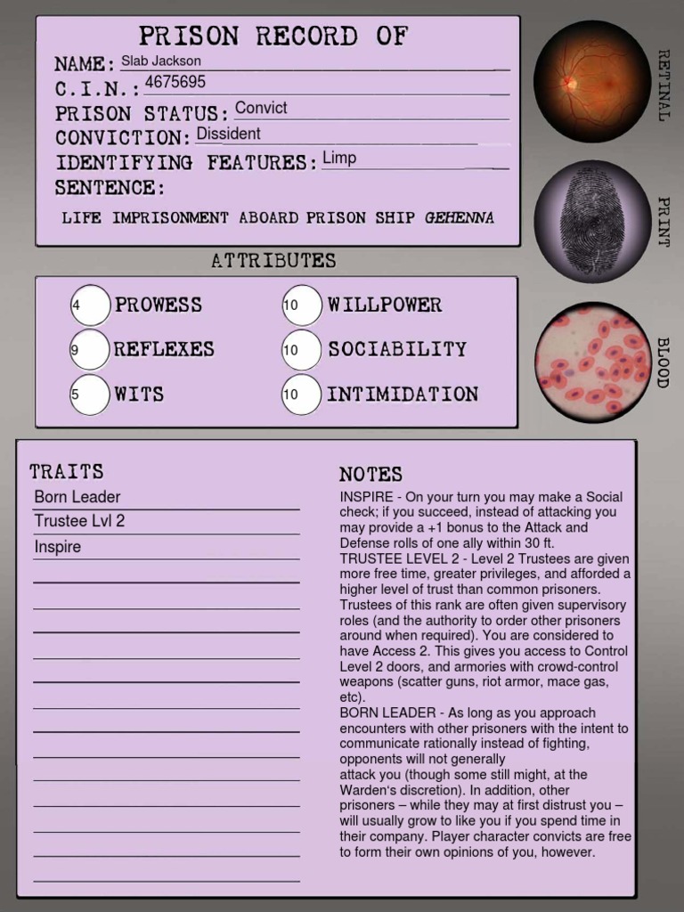 CONVICTION: - : PRISON STATUS: - Identifying Features: - Sentence | PDF ...