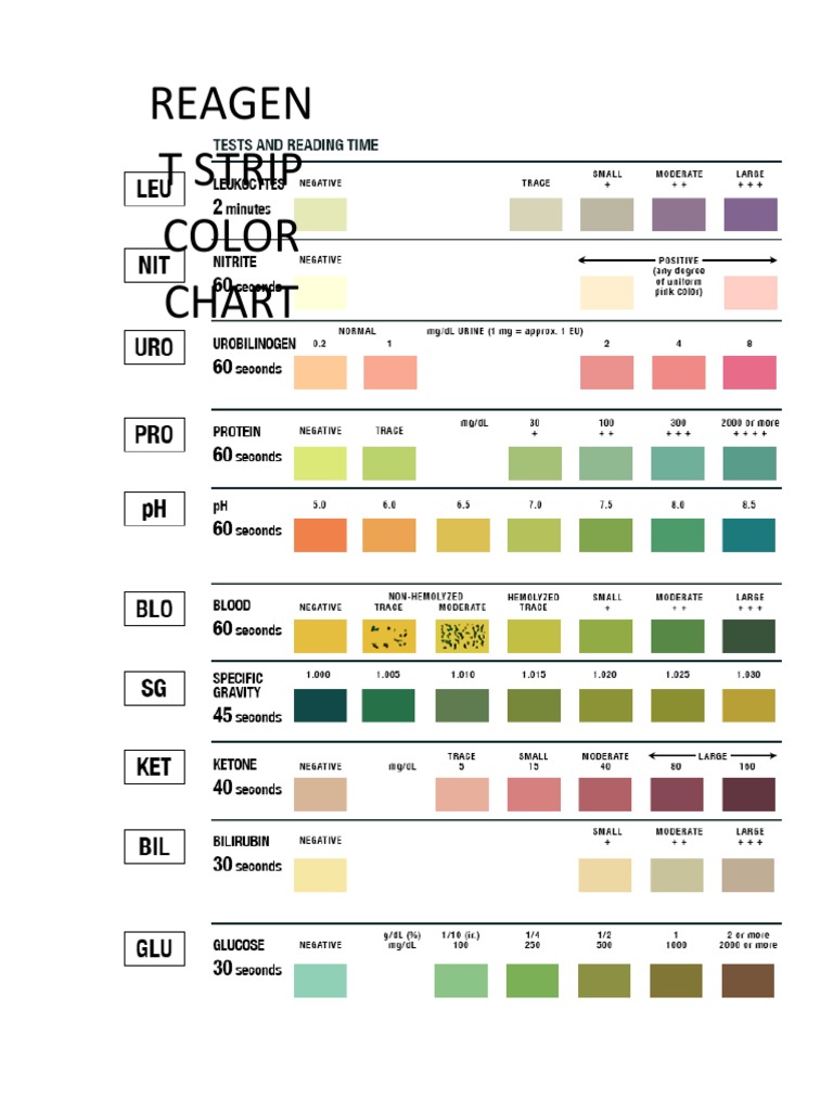 Reagent Strip Color Chart | PDF
