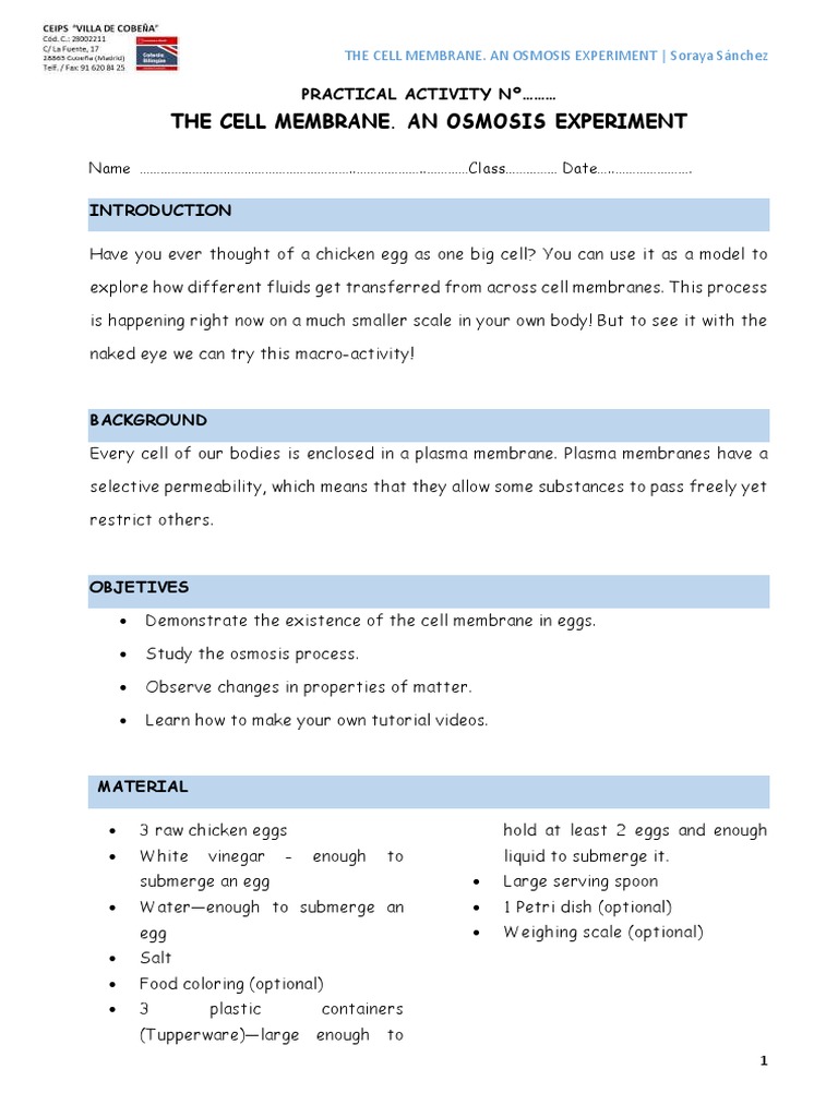 1.2. Cell Membranes. An Osmosis Experiment PDF | PDF | Osmosis | Cell ...