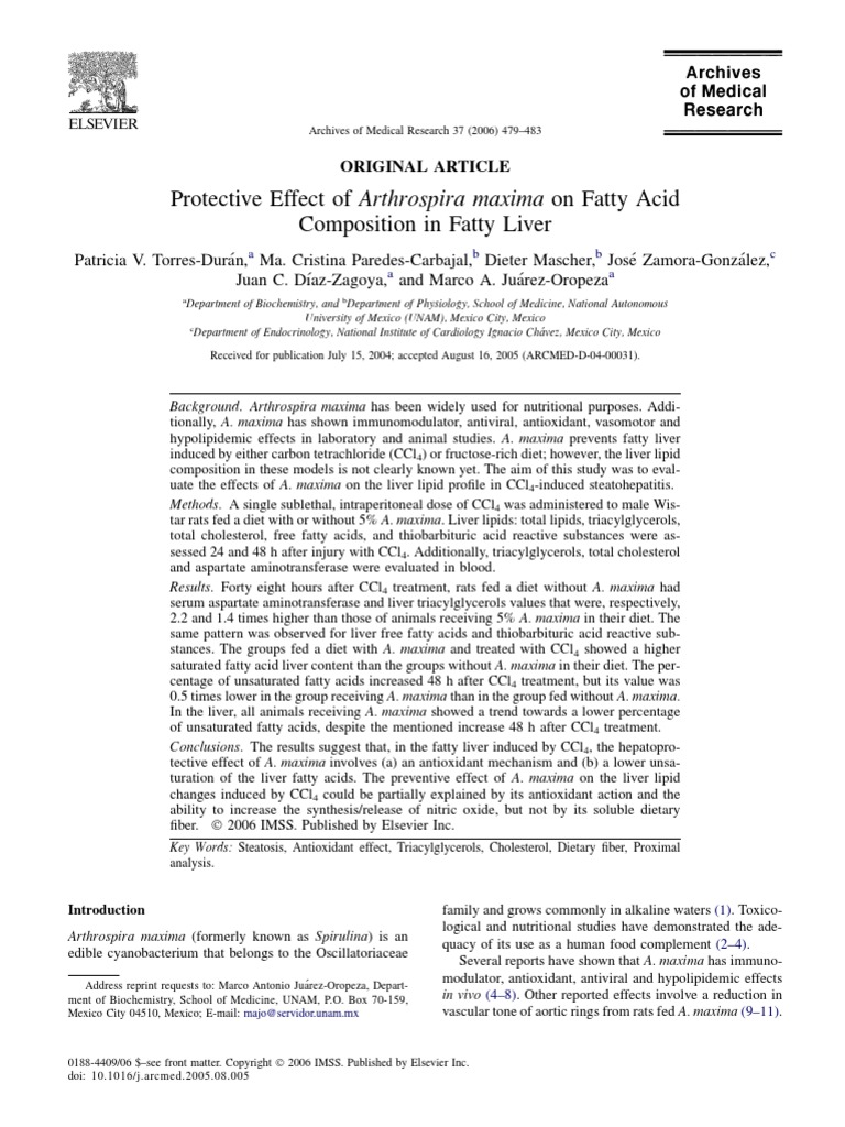 Fatty Liver | PDF | Dietary Fiber | Diet & Nutrition