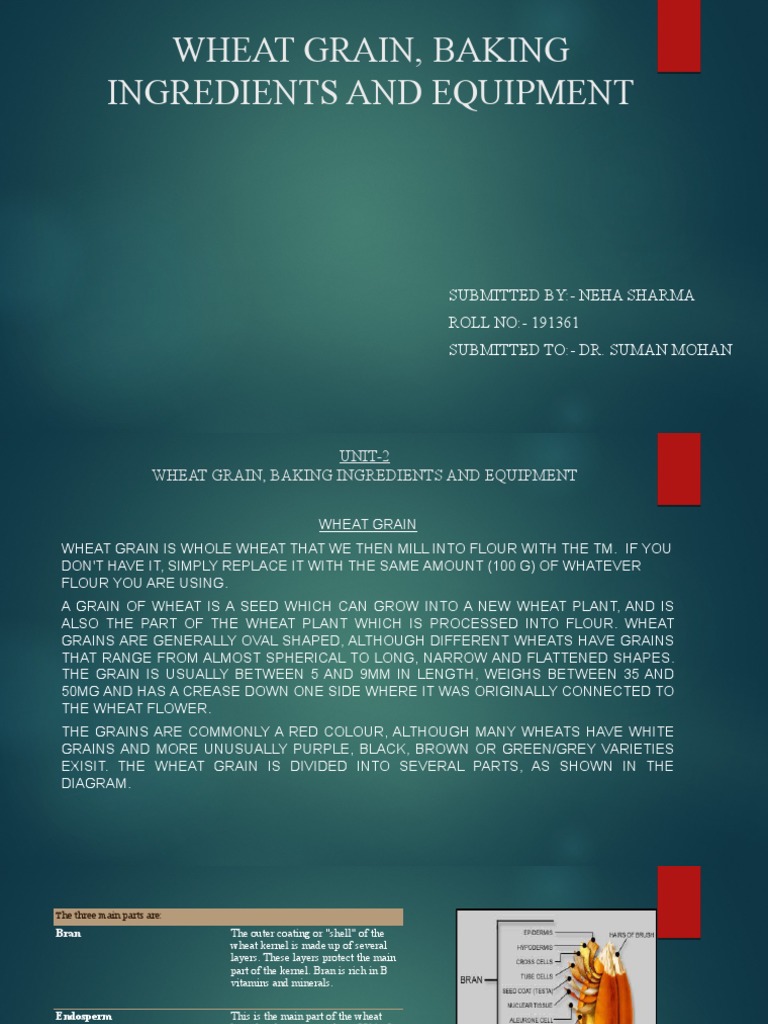 Unit 2 Wheat Grain | PDF | Flour | Sodium Bicarbonate