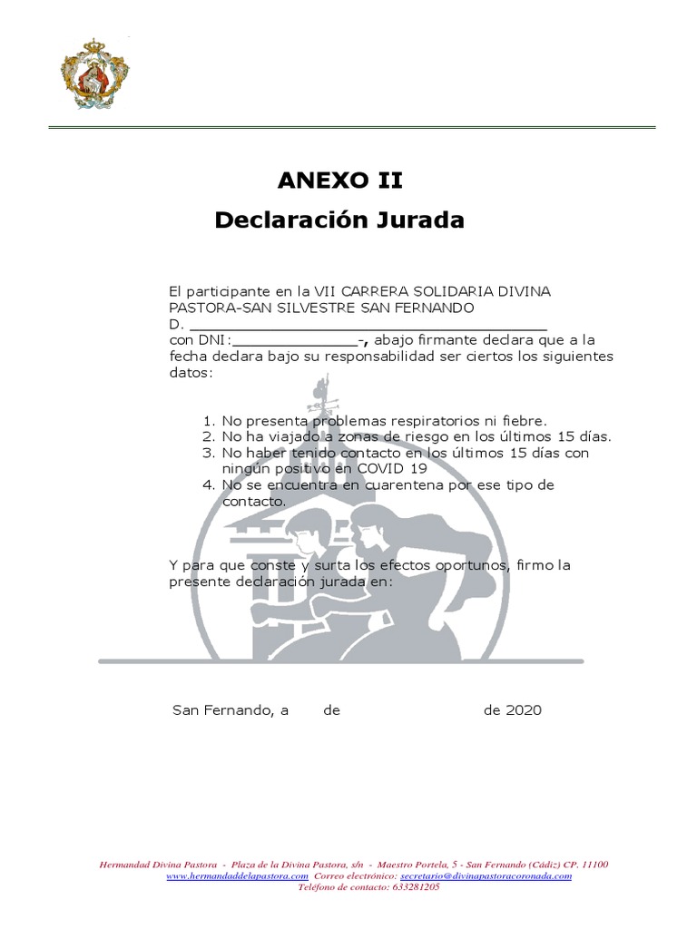 Anexo II Declaración Jurada | PDF