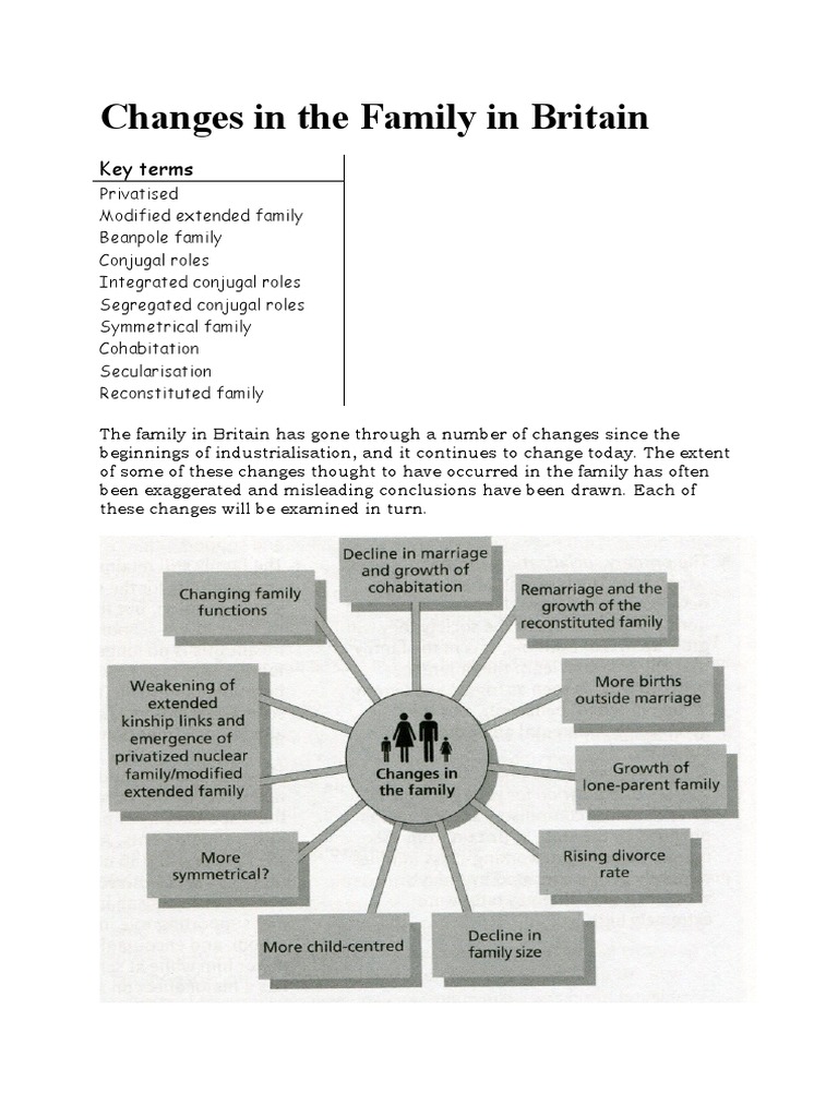 Changes To The Family | PDF | Stepfamily | Family