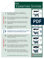 Body Condition Score Charts Cat and Small Dog | PDF | Abdomen | Pelvis