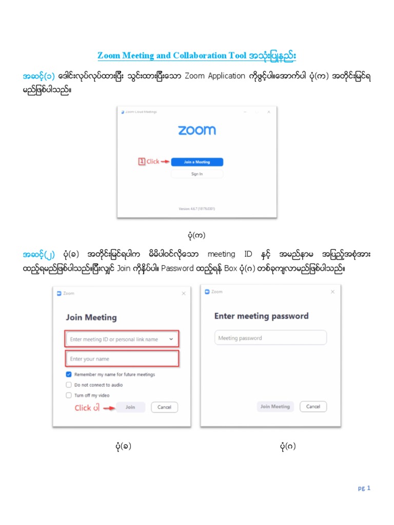Zoom Meeting Guide | PDF