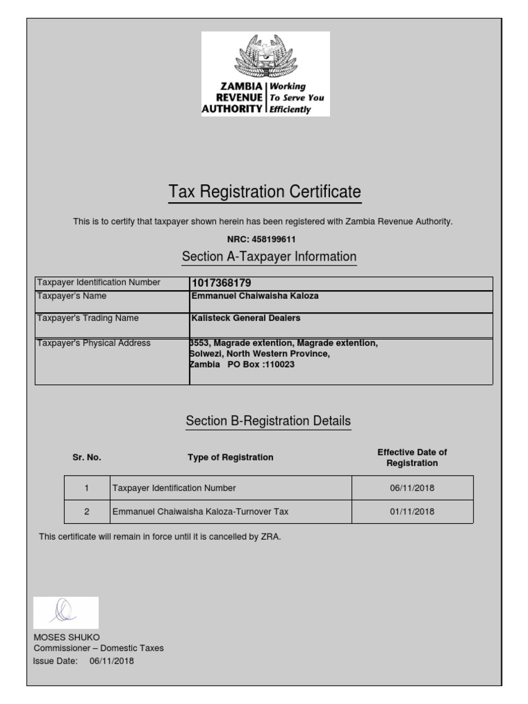 TPIN Registration Certificate PDF | PDF