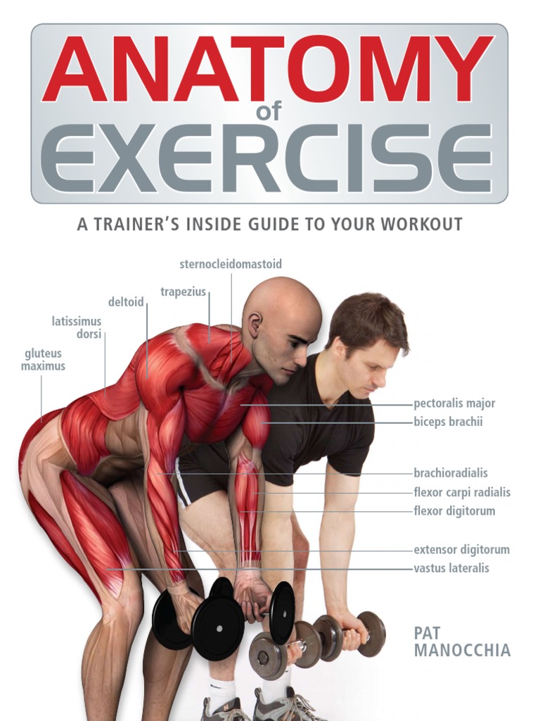 Anatomy of Exercise PDF | PDF | Foot | Anatomical Terms Of Motion