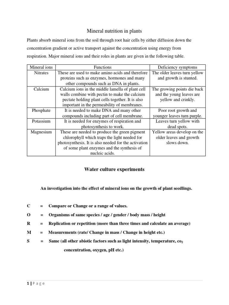 Mineral Nutrition in Plants | PDF | Plants | Photosynthesis