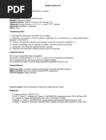 Fisa de Lucru Paint | PDF