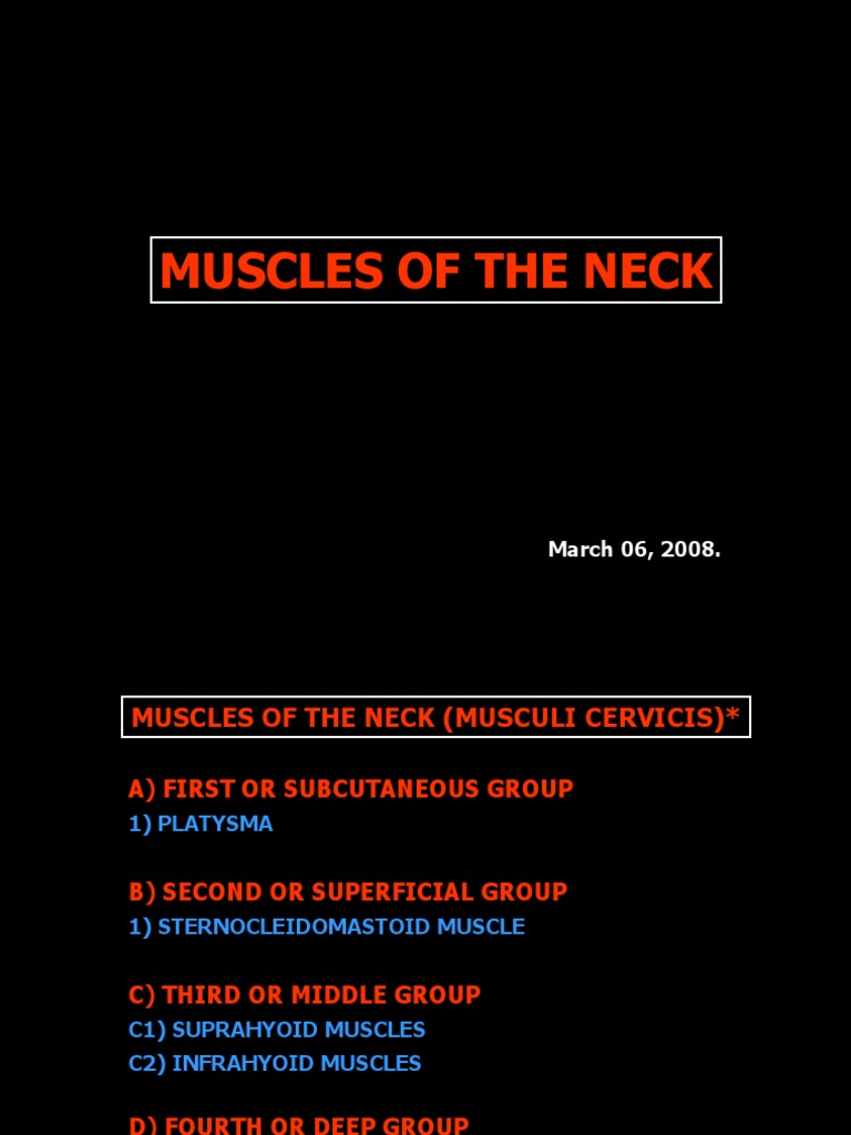 Muscles of the Neck | PDF | Neck | Common Carotid Artery