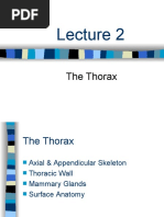 Thorax Anatomy Diagrams Overview | PDF