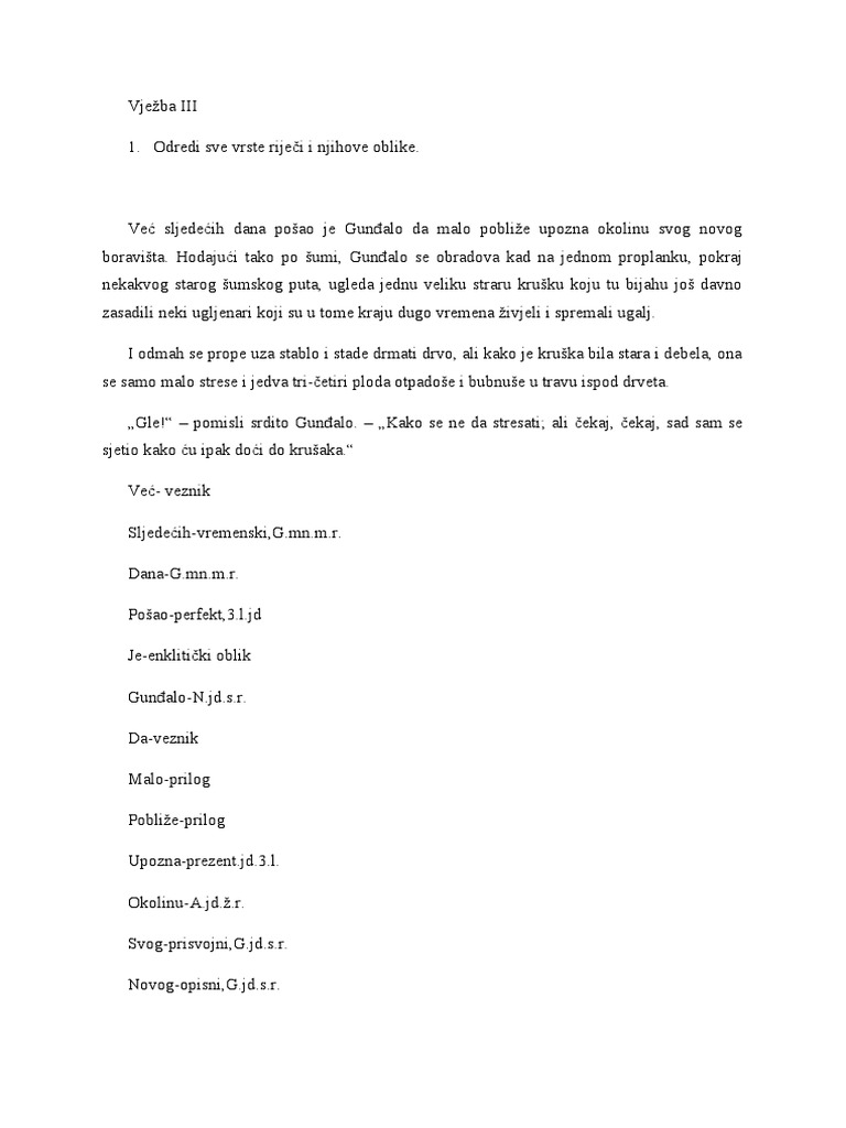 Tekst Za Vjezbu III | PDF
