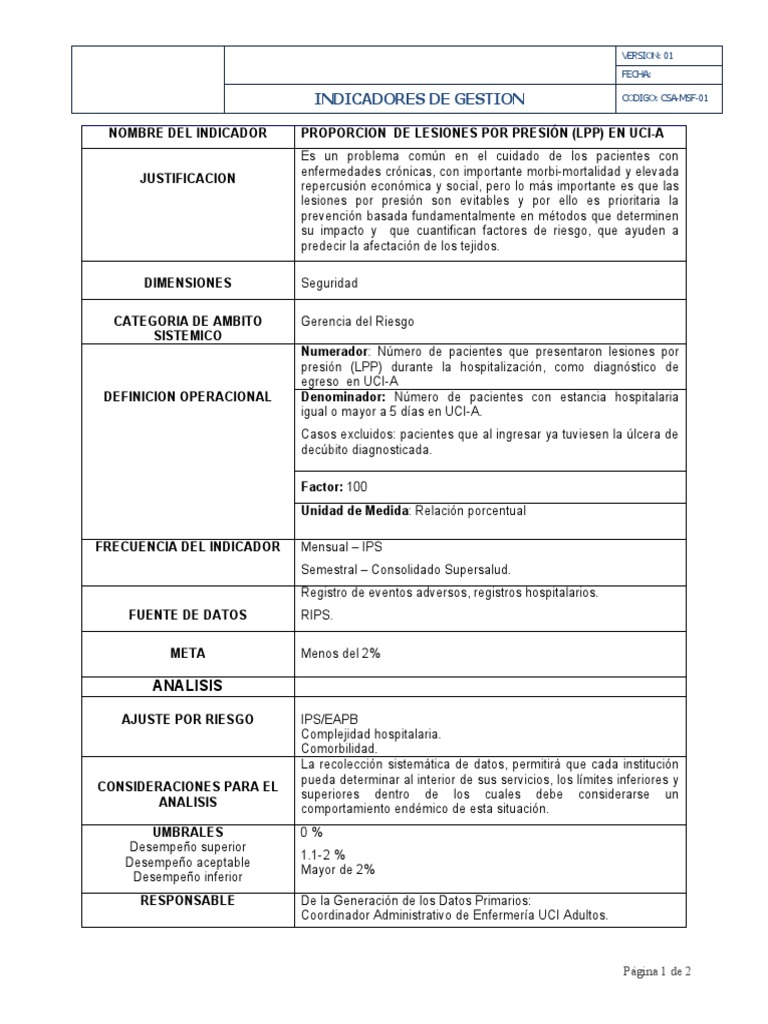 Ficha de Indicador LPP | PDF | Hospital | Medicina